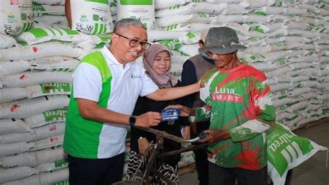 Stok Pupuk Aman Pusri Siap Masuki Musim Tanam Tribunsumsel