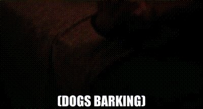 Yarn Dogs Barking The Bling Ring 2013 Video S By Quotes