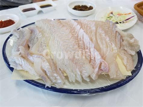 광어 회 활어 음식 회사진 사진이미지일러스트캘리그라피 비네팅작가