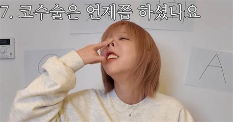 쯔양 코 성형설에 돼지코 만들며 부인눈 위 지방 뺐다