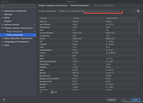 安装了多个python版本，如何向指定的python版本中安装包有两个版本的python解释器怎么把包安装到指定的解释器上 Csdn博客