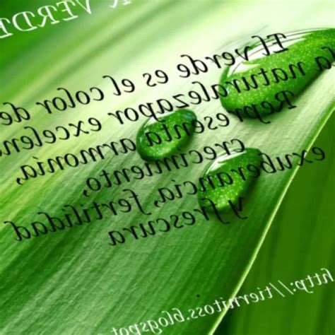 La poderosa energía del color verde en la espiritualidad Anna Casas