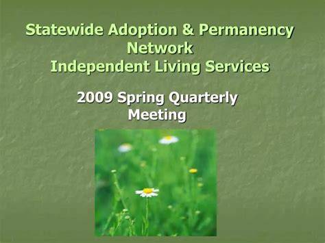 Ppt Swan Il Services Quarterly Meeting Powerpoint Presentation Free