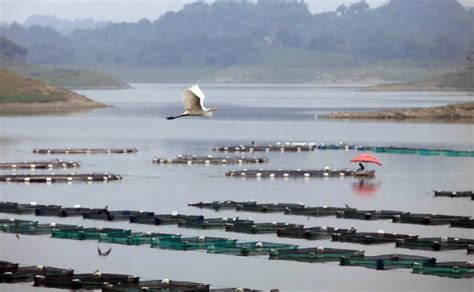 Mil Islas Desplazados Del Pueblo Mazateco Sobreviven En La Pobreza EDUCA