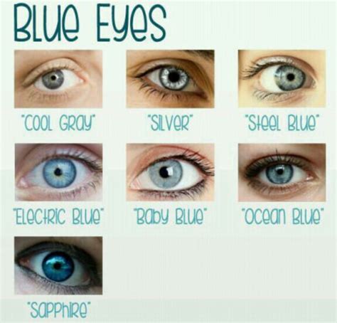 Blue Colored Eyes ️ I Want The Sapphire And The Silver 😍😁 Eyeshadow