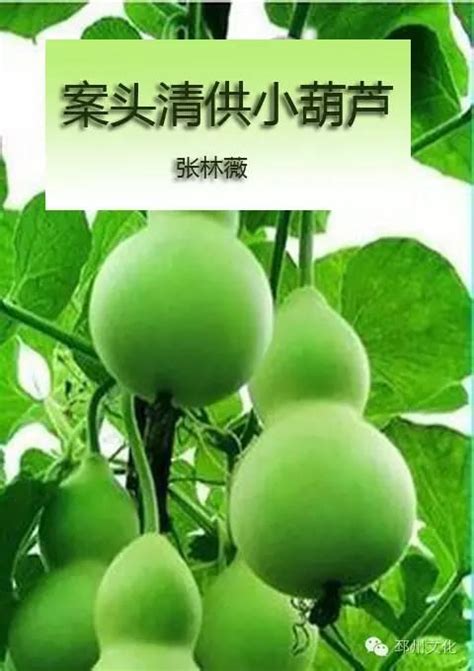 閒情雅趣案頭清供小葫蘆 每日頭條