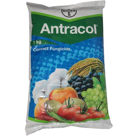 1kg Bayer Antracol Contact Fungicide Packet Propineb 70 Wp At 679