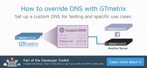how to override your dns with gtmetrix gtmetrix