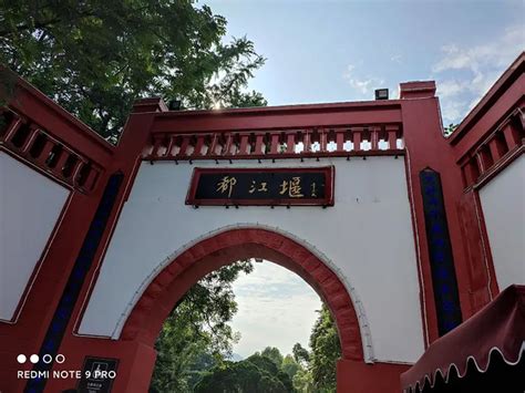 2024成都大熊猫繁育研究基地 评论 去哪儿攻略