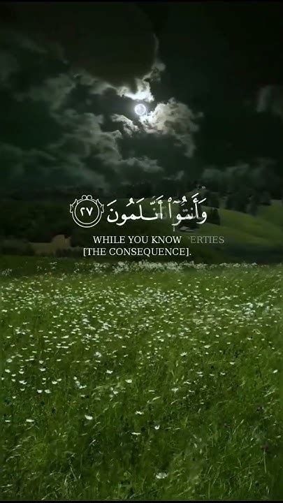 يَا أَيُّهَا الَّذِينَ آمَنُوا لَا تَخُونُوا اللَّهَ وَالرَّسُولَ