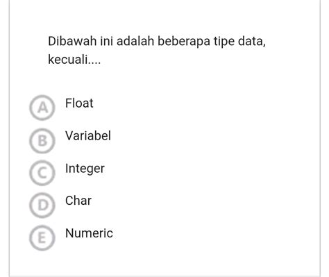 dibawah ini adalah beberapa tipe data kecuali a float b variabel c integer d char e numeric