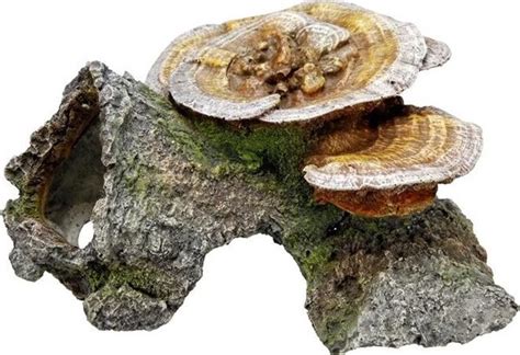 Nobby Aqua Ornaments Collette En Bois Avec Champignons Grotte Autres