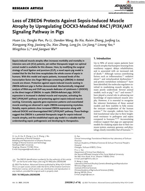 Pdf Loss Of Zbed6 Protects Against Sepsis‐induced Muscle Atrophy By