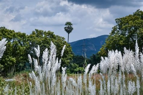 Beautiful Landscape Photography By Priyanshu Sutar Bba Ksom Blog