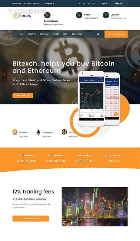 电子货币比特币网站html5模板 yyds源码网
