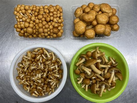 味噌汁ではもったいない！加茂農産のキングなめこ｜野菜の商品詳細｜ポケットマルシェ｜産直産地直送通販 旬の果物・野菜・魚介をお取り寄せ