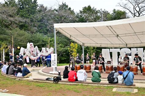 あつぎ飯山桜まつり 飯山白山森林公園桜の広場 あつぎのしゃしん。
