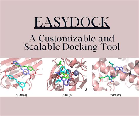 Easydock A Scalable And User Friendly Tool For High Throughput