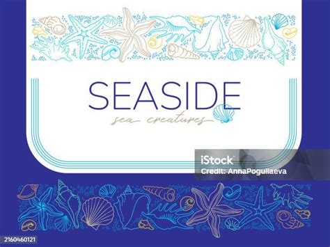 벡터 프레임 테두리 소품 라인 아트의 모서리 열대 바다 요소 조개 불가사리 해양 생물의 낙서 스크랩북 카드 디자인에 대 한 바다 장식 바다 생물 해양 일러스트레이션 조개