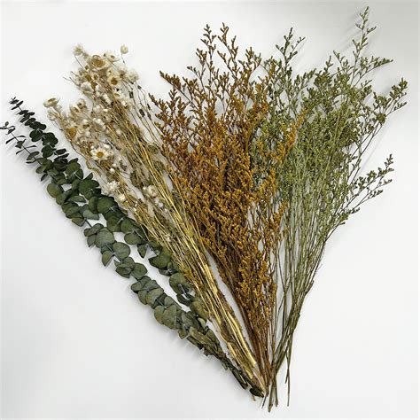 Primrue Real Preserved Mixed Bouquets Mix 6 Small Med Large And Reviews Joss And Main