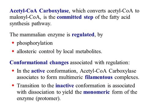 Metabolism Of Lipids Ppt Video Online Download