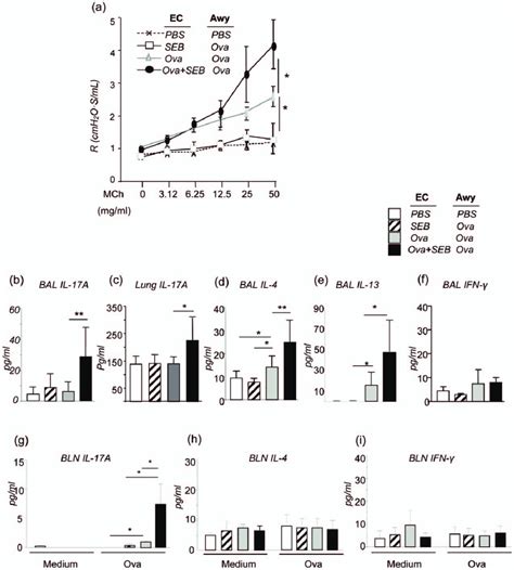 Seb Enhanced Airway Resistance And Th17 And Th2 Cytokine Expression In