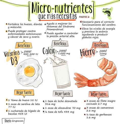 Los Micronutrientes Que Más