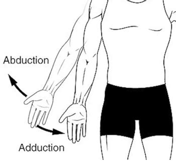 Anatomical Terms Of Movement Flexion Rotation CrossFit Movement About