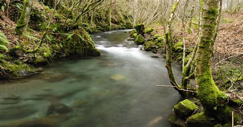 O Courel Foto A Foto Tras Os Pasos Do Río Selmo