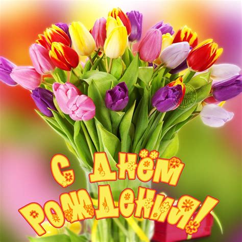 Цветы лучшая открытка на день рождения девушке Скачайте бесплатно открытку №5331 из рубрики с