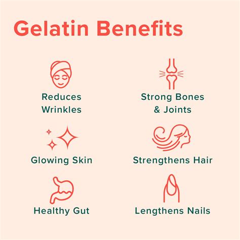 Premium Gelatin Powder Grass Fed Pasture Raised Non Gmo Paleo