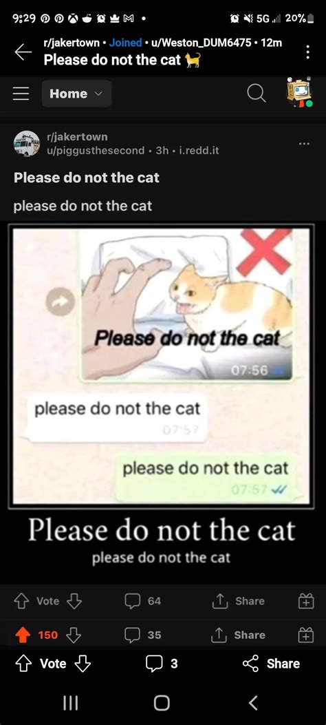 Please Do Not The Cat Rjakertown