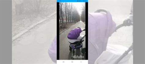 Коляска zippy verdi 2 в 1 купить в Иваново | Личные вещи | Авито