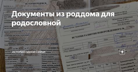 Документы из роддома для родословной История одной семьи Юлия Новожилова Дзен