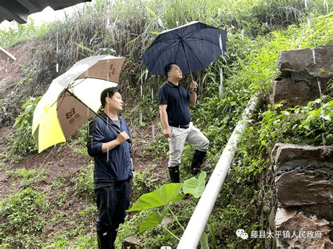 严阵以待！太平镇加强地质灾害隐患排查和防治工作进行唐培南社区
