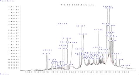 Gc Ms Chromatogram Of Methanolmethylene Chloride Extract Of Download Scientific Diagram