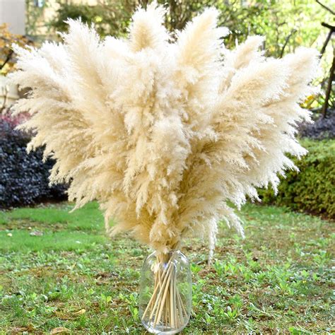 40 11 Pcs Dried Pampas Grass Decor Talllarge Natural Beige Pompas