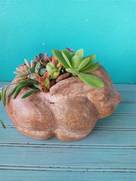 The Pink Mongoose Added A New Photo The Pink Mongoose