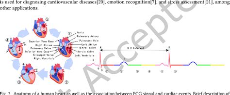 Figure 2 From Non Intrusive Human Vital Sign Detection Using Mmwave Sensing Technologies A
