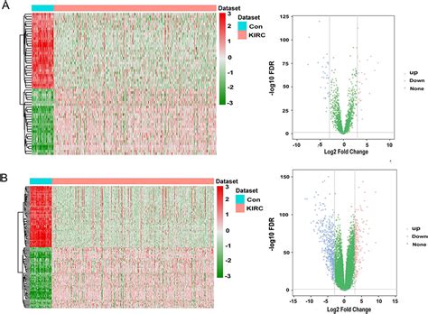 Identification Of Key Lncrnas Mrnas And Potential Drugs Ijgm