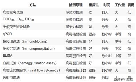 经验分享：病毒学基本概念vp、pfu、tcid50简介 方法 细胞 颗粒