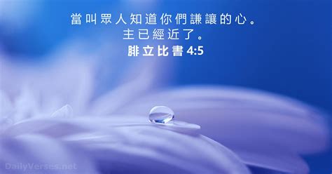 Dailyverses Net