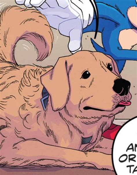 Ozzie Idw Sonic Hub Fandom