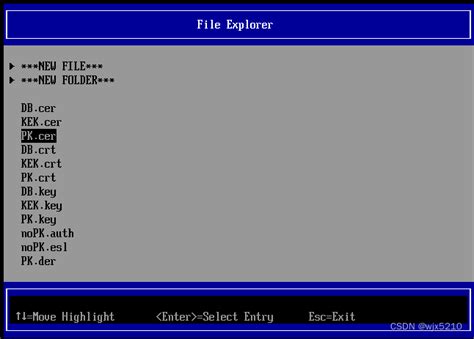 虚拟机secure Boot安全启动secure Boot Mode Csdn博客 虚拟机secure Boot安全启动secure Boot Mode Csdn博客
