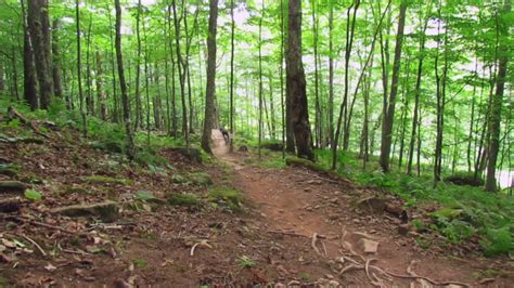 Furbee Large On Vimeo