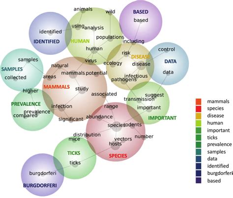 Mind Maps Epidemiology