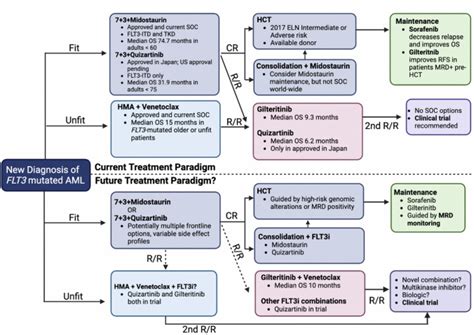 Flt3 Targeting In The Modern Era From Clonal Selection To Combination