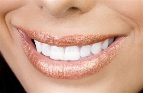 Fille Sexy De Sourire Photo Stock Image Du Fond Clear 15203486