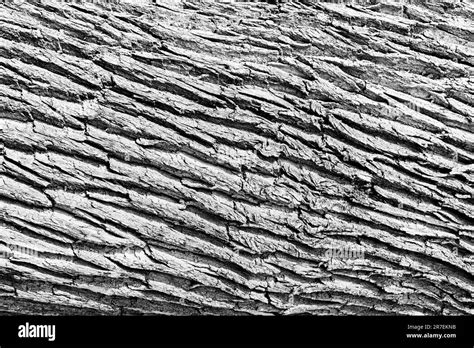 Granular Material Solid Wood With A Structural Surface For Design