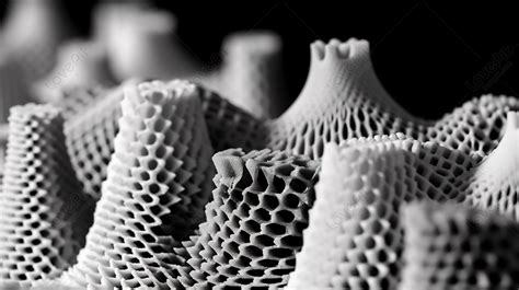 파우더 배경에 있는 흑백 추상 3d 프린트 모델의 놀라운 클로즈업 샷 로즈 배경 백인 모델 배경 인쇄 디자인 배경 이미지 Hd 로즈 백인 모델 인쇄 디자인 배경